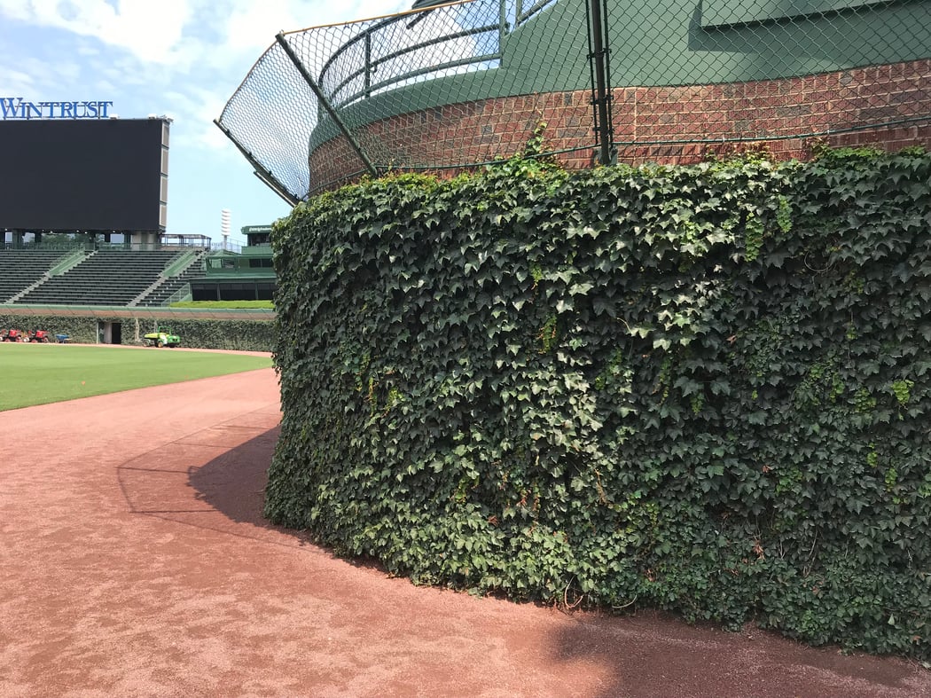 Must-See Features at Wrigley Field for First-Time Visitors